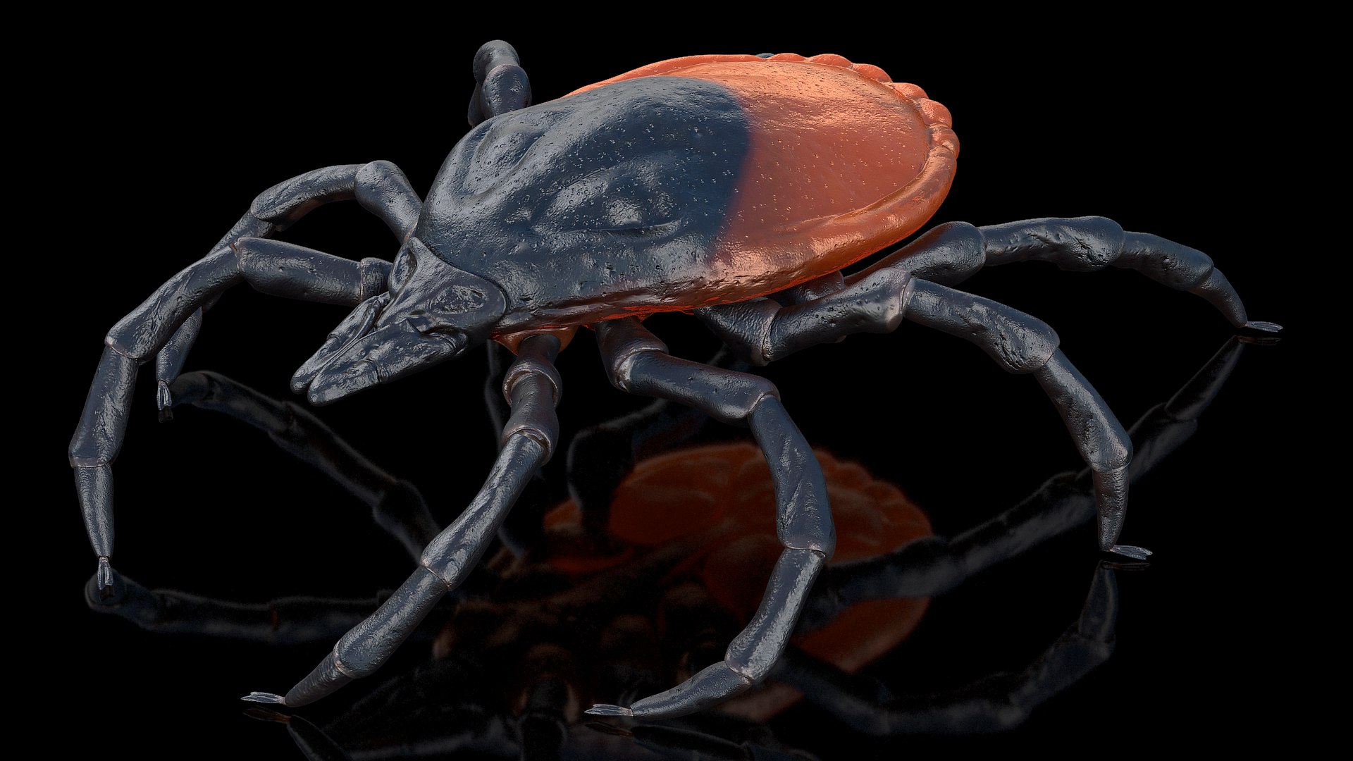 Tick model - TurboSquid 1853337