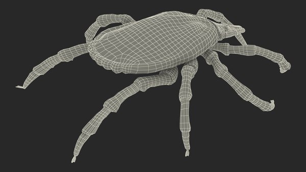 Tick model - TurboSquid 1853337