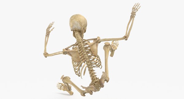 Real human female skeleton model - TurboSquid 1667620