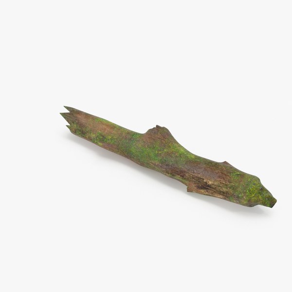 Mossy-logs---01 3D model - TurboSquid 1405741