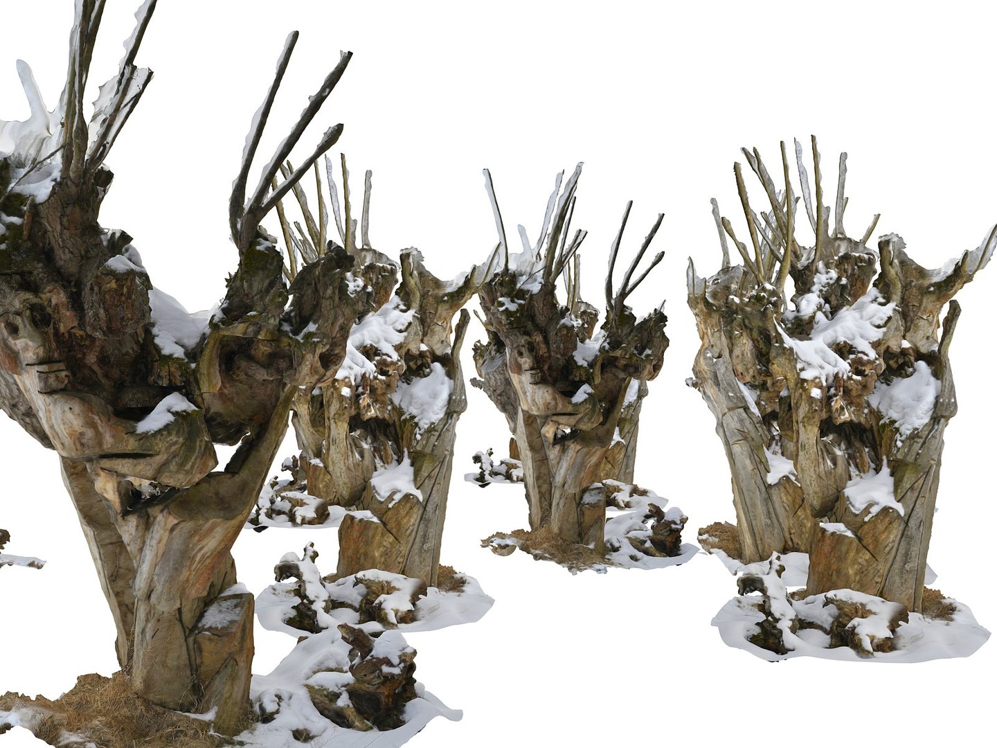 Spooky Winter Forest 3D Model - TurboSquid 1262904
