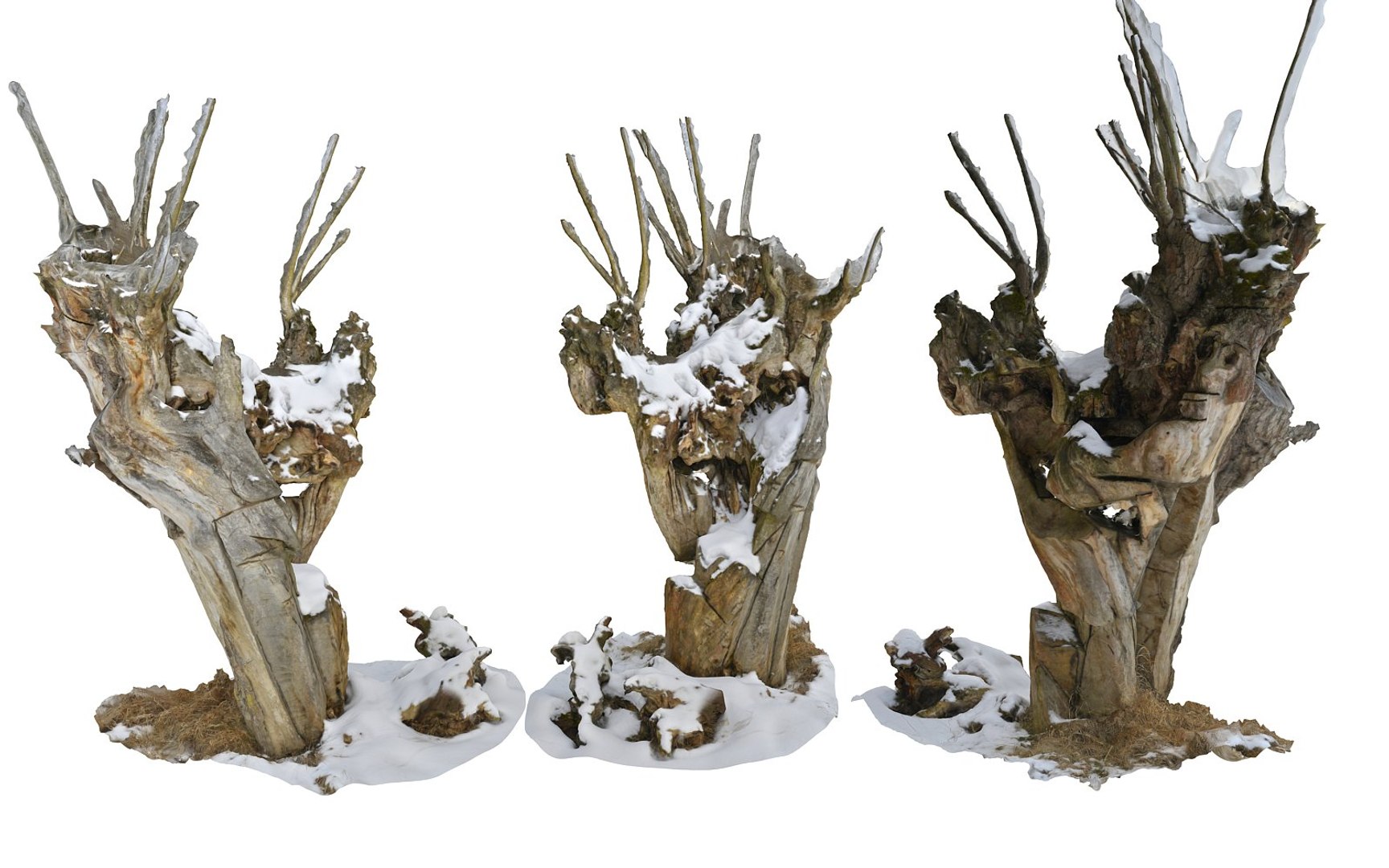 Spooky Winter Forest 3D Model - TurboSquid 1262904