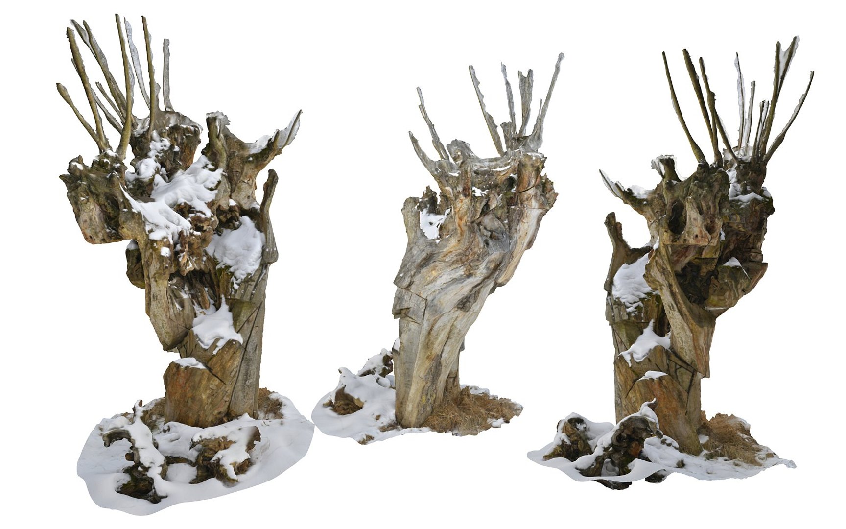 Spooky Winter Forest 3D Model - TurboSquid 1262904