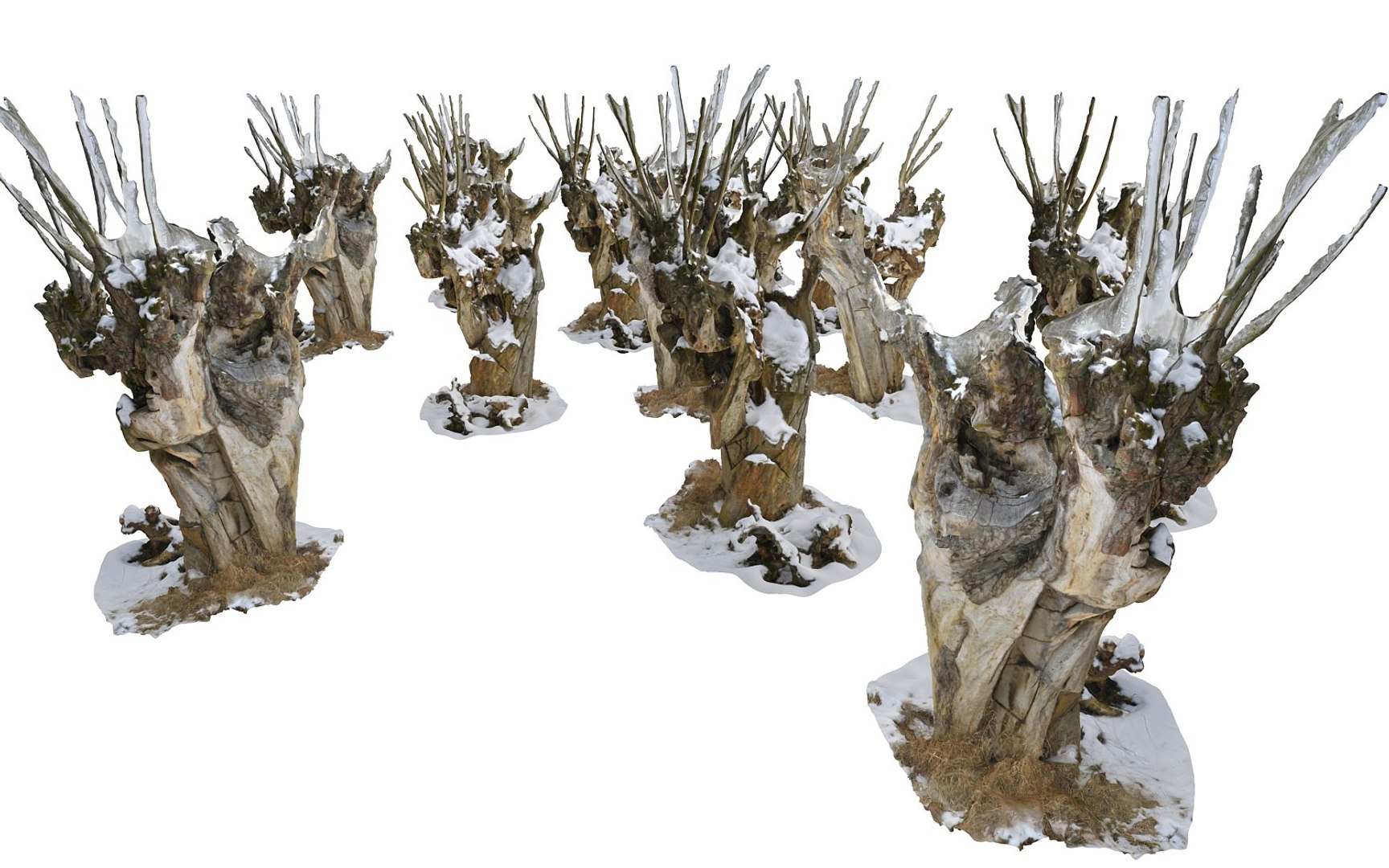 Spooky Winter Forest 3D Model - TurboSquid 1262904