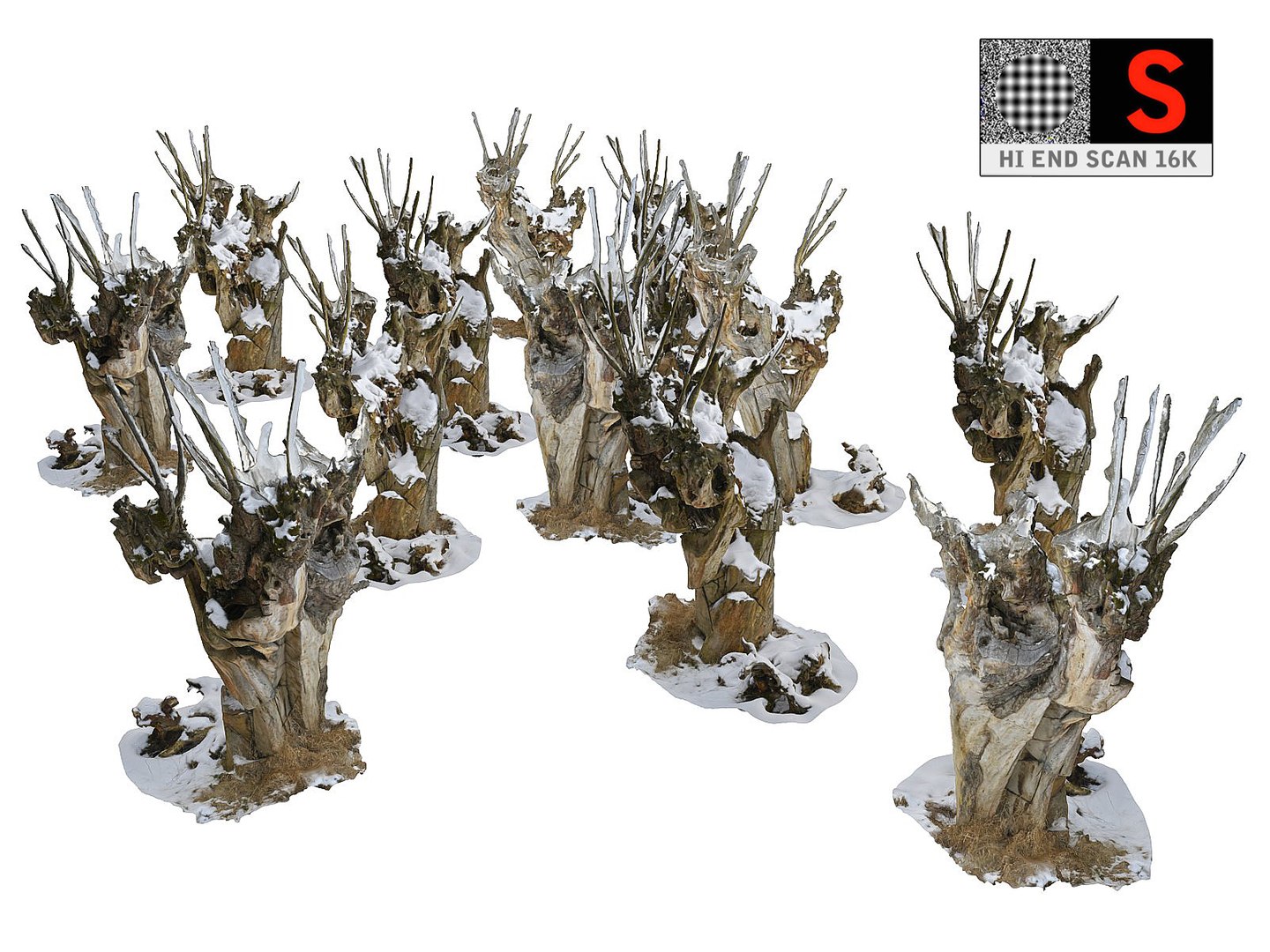 Spooky Winter Forest 3D Model - TurboSquid 1262904