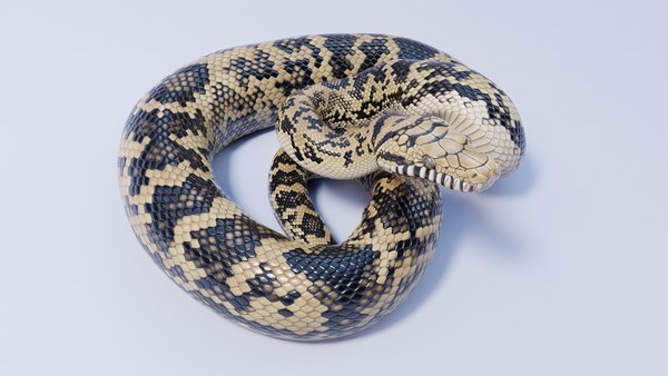 3D Animated Scrub Python model - TurboSquid 1950276