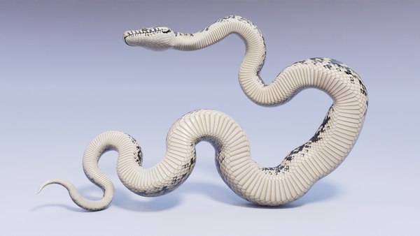 3D Animated Scrub Python model - TurboSquid 1950276