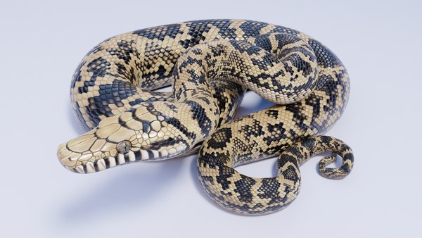 3D Animated Scrub Python model - TurboSquid 1950276