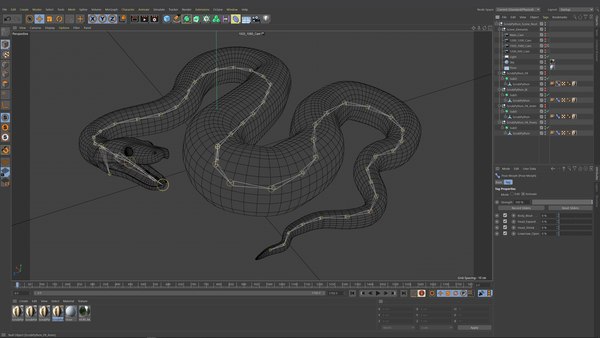 3D Animated Scrub Python model - TurboSquid 1950276