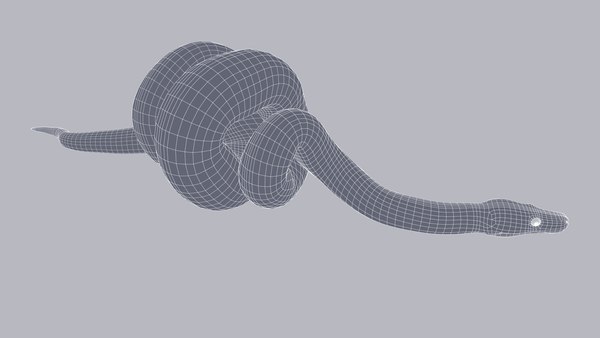 3D Animated Scrub Python model - TurboSquid 1950276