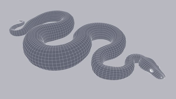 3D Animated Scrub Python model - TurboSquid 1950276