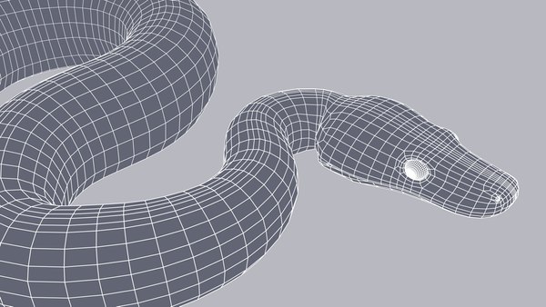 3D Animated Scrub Python model - TurboSquid 1950276