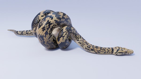 3D Animated Scrub Python model - TurboSquid 1950276