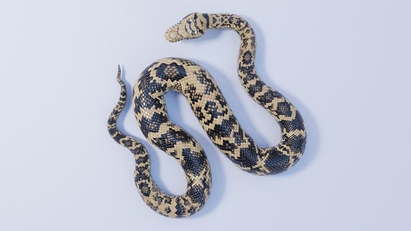 3D Animated Scrub Python model - TurboSquid 1950276