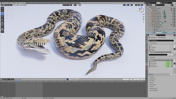 3D Animated Scrub Python model - TurboSquid 1950276