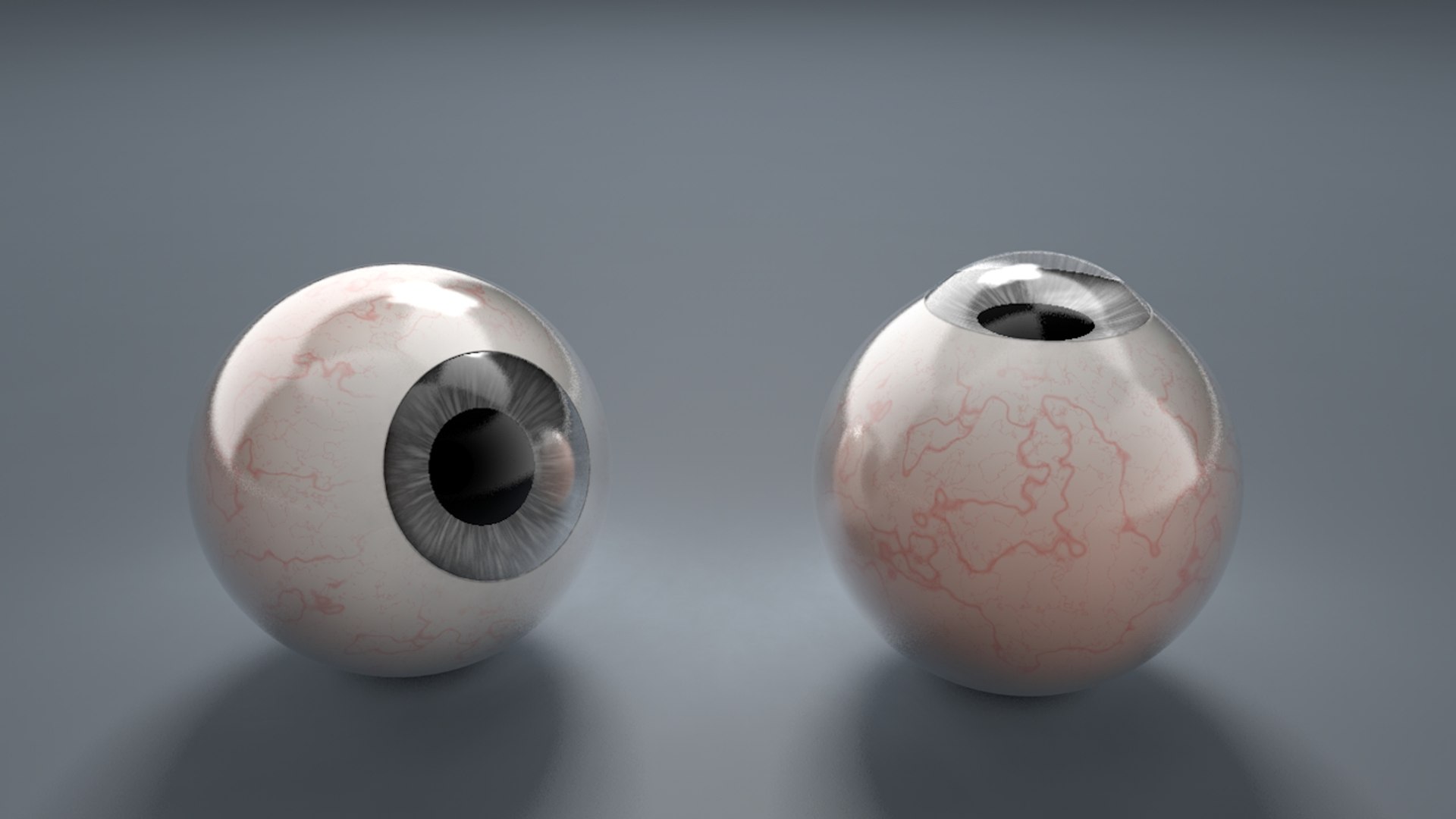 3D Eyeball Eye Ball Model - TurboSquid 1677552