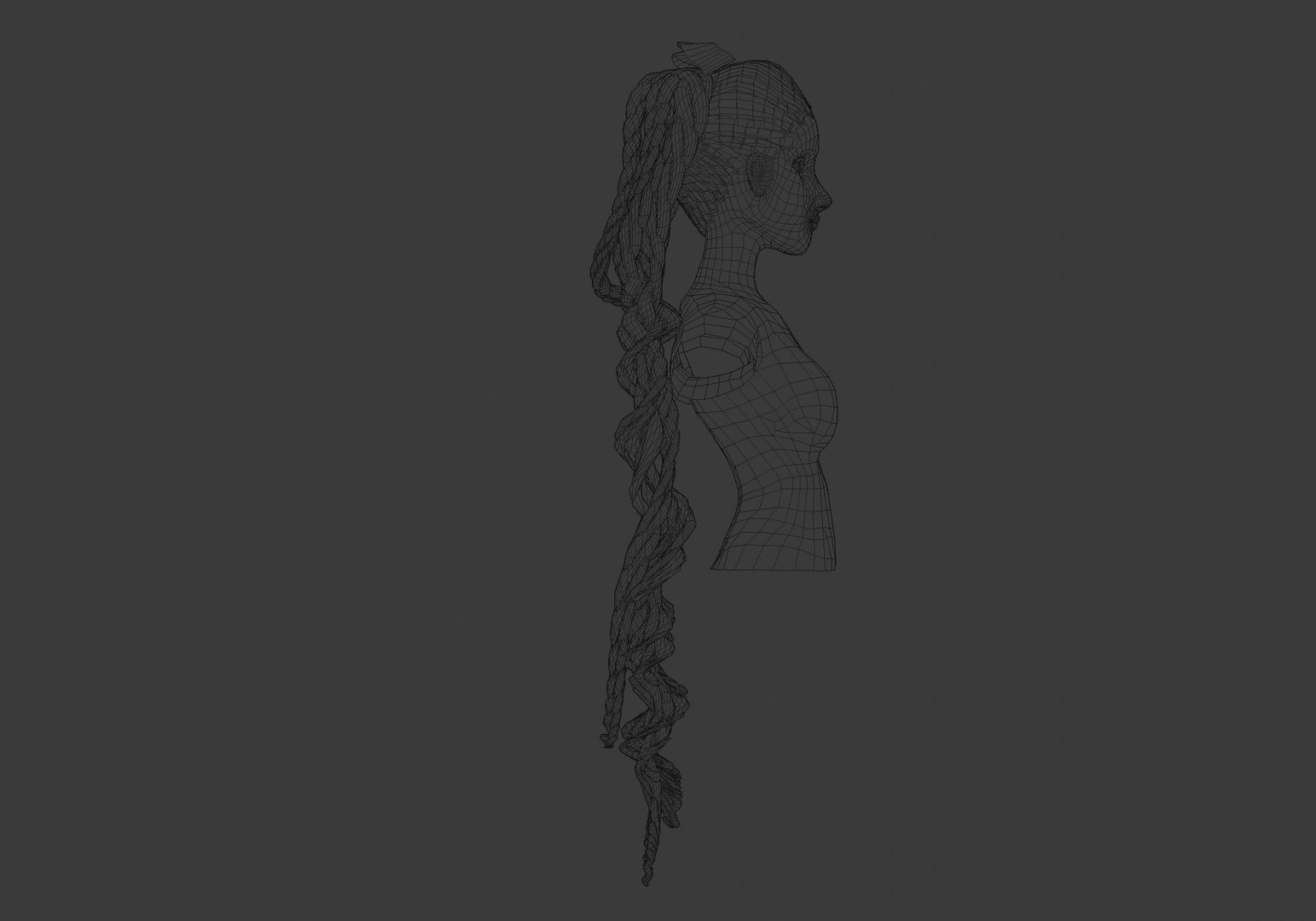 Braids Female Hair 3D Model - TurboSquid 1943323