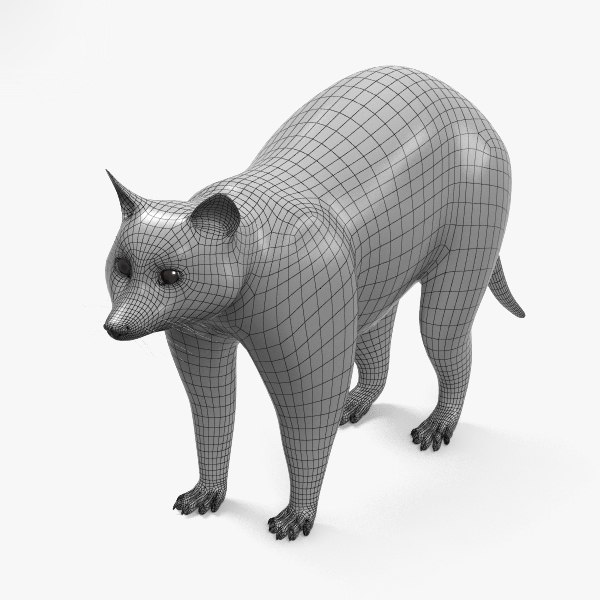 modelo 3d Mapache HD - TurboSquid 1379686