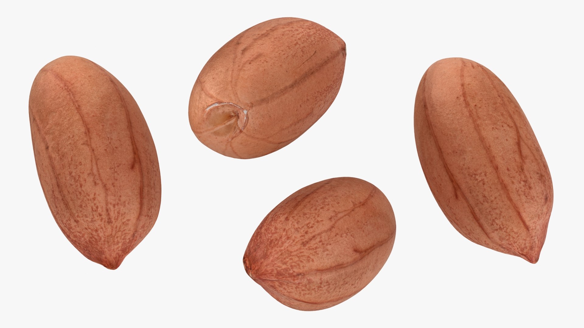 3D model Peanut Kernel 01 - TurboSquid 1954050