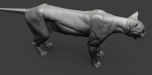 Fully Detailed African Golden Cat Zbrush Sculpt 3D model - TurboSquid ...
