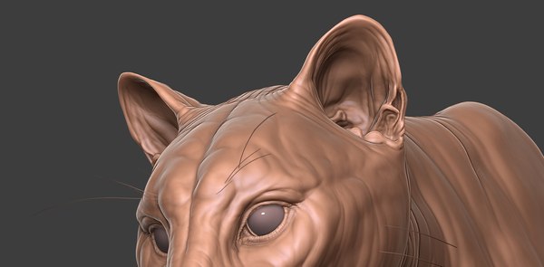 Fully Detailed African Golden Cat Zbrush Sculpt 3D model - TurboSquid ...