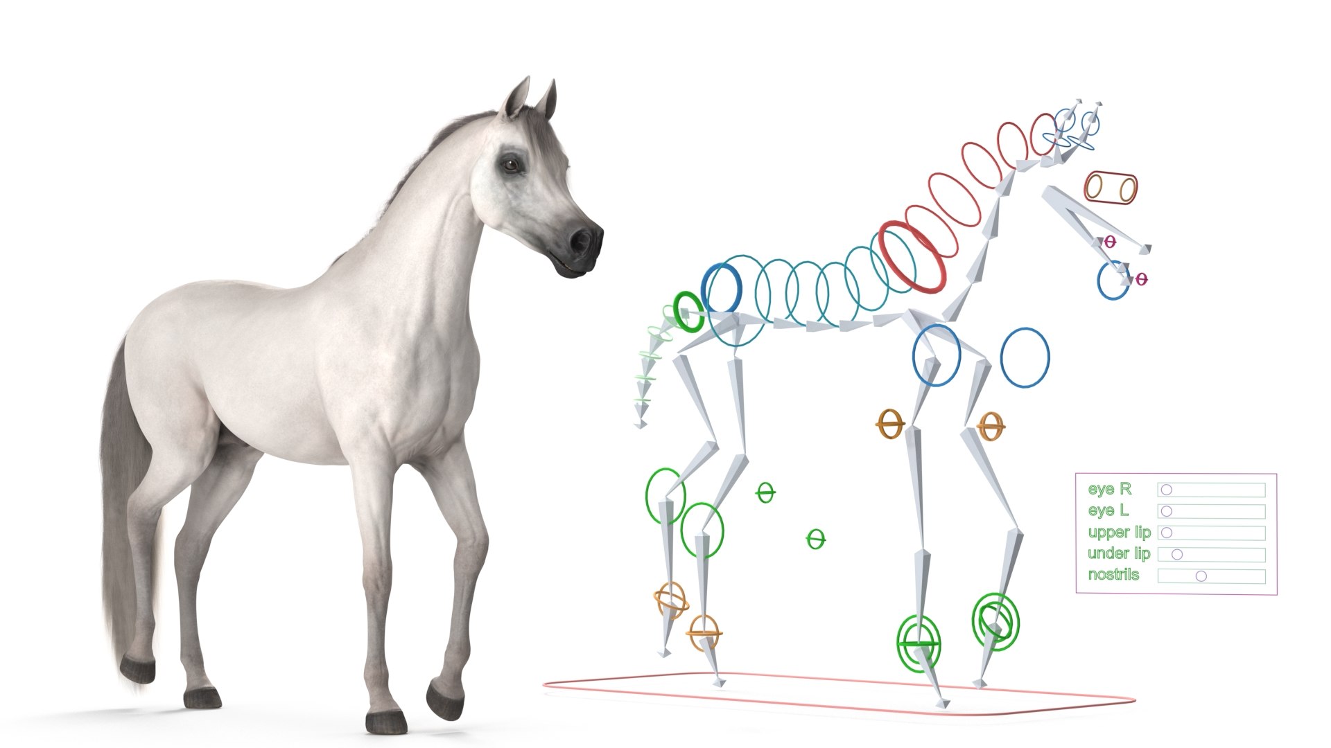 3D Model Arabian Horse White Fur Rigged - TurboSquid 2184596