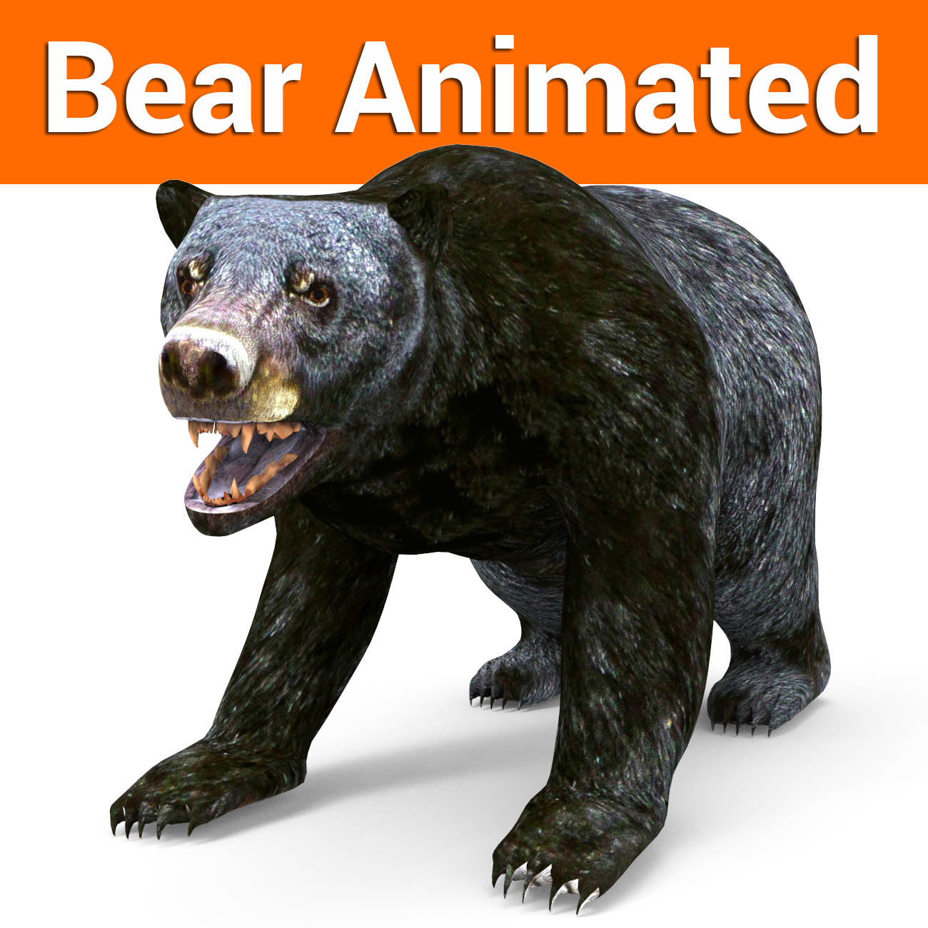 3D black bear animation model - TurboSquid 1223880