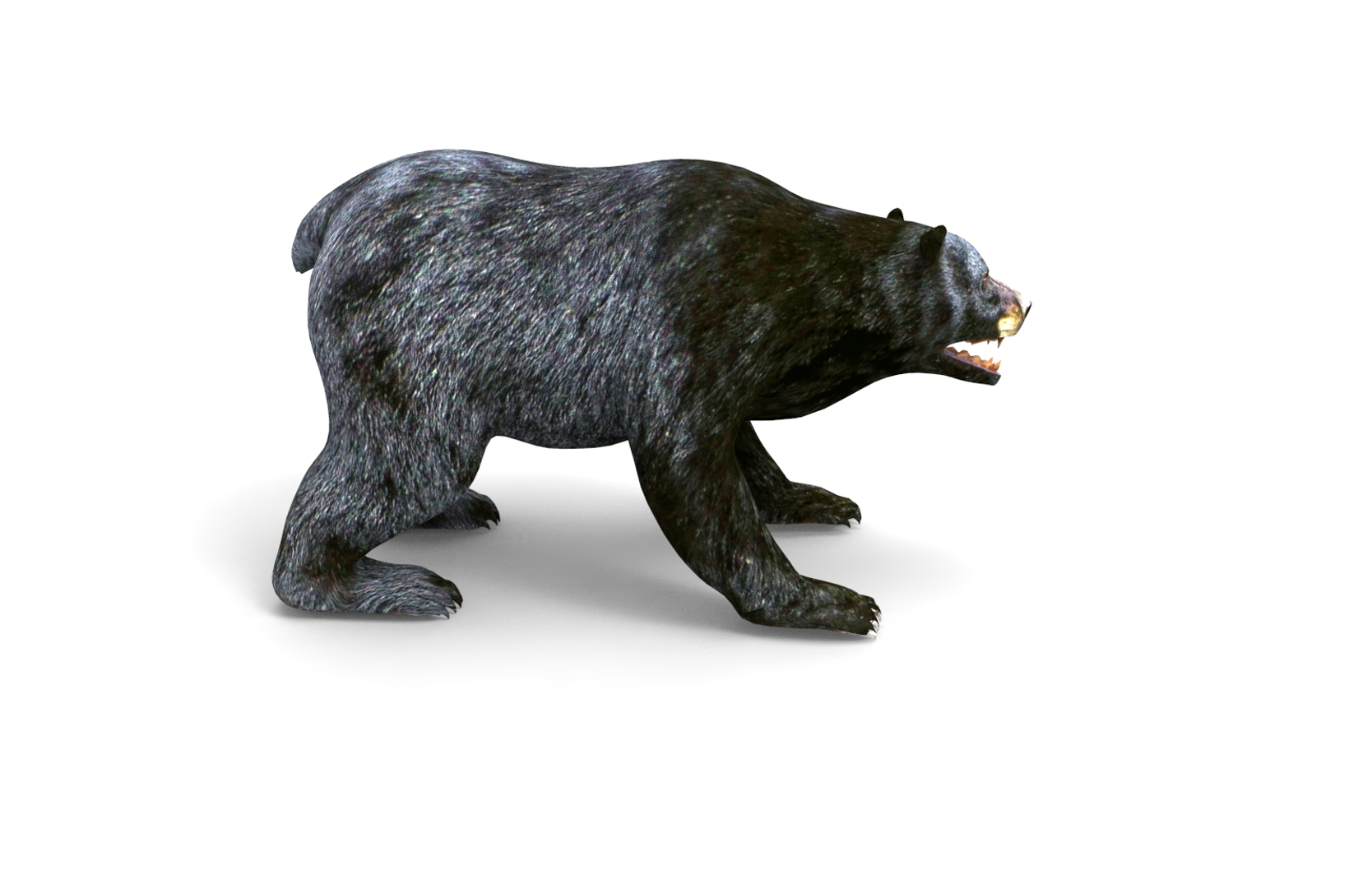 3D black bear animation model - TurboSquid 1223880