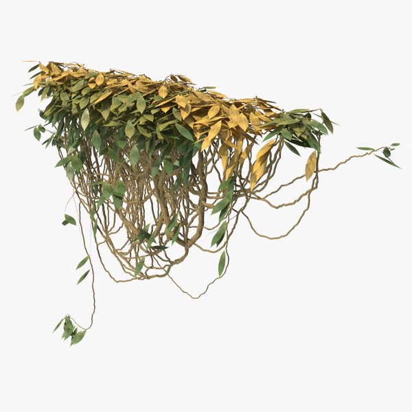 アイビーP3 02（V2）3Dモデル - TurboSquid 1291170