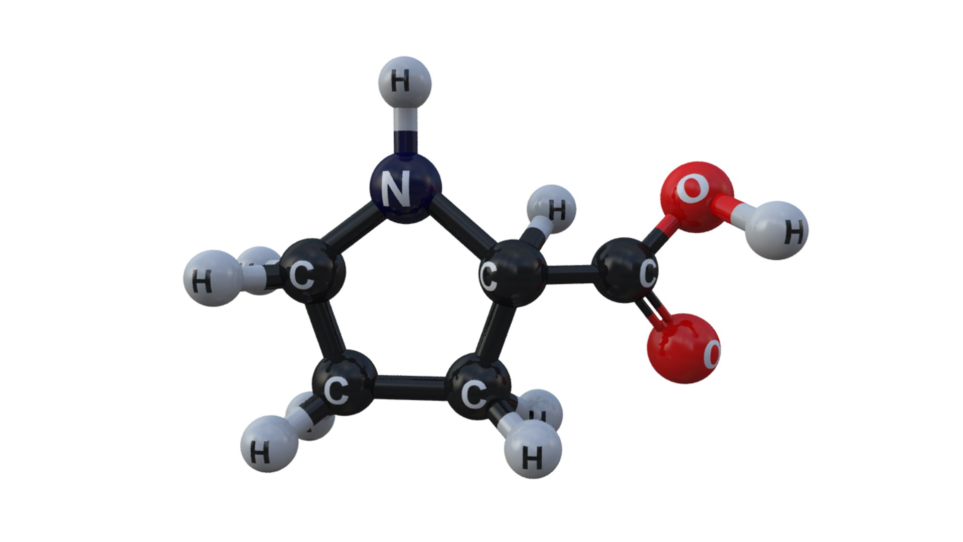3d Proline Acid Amino