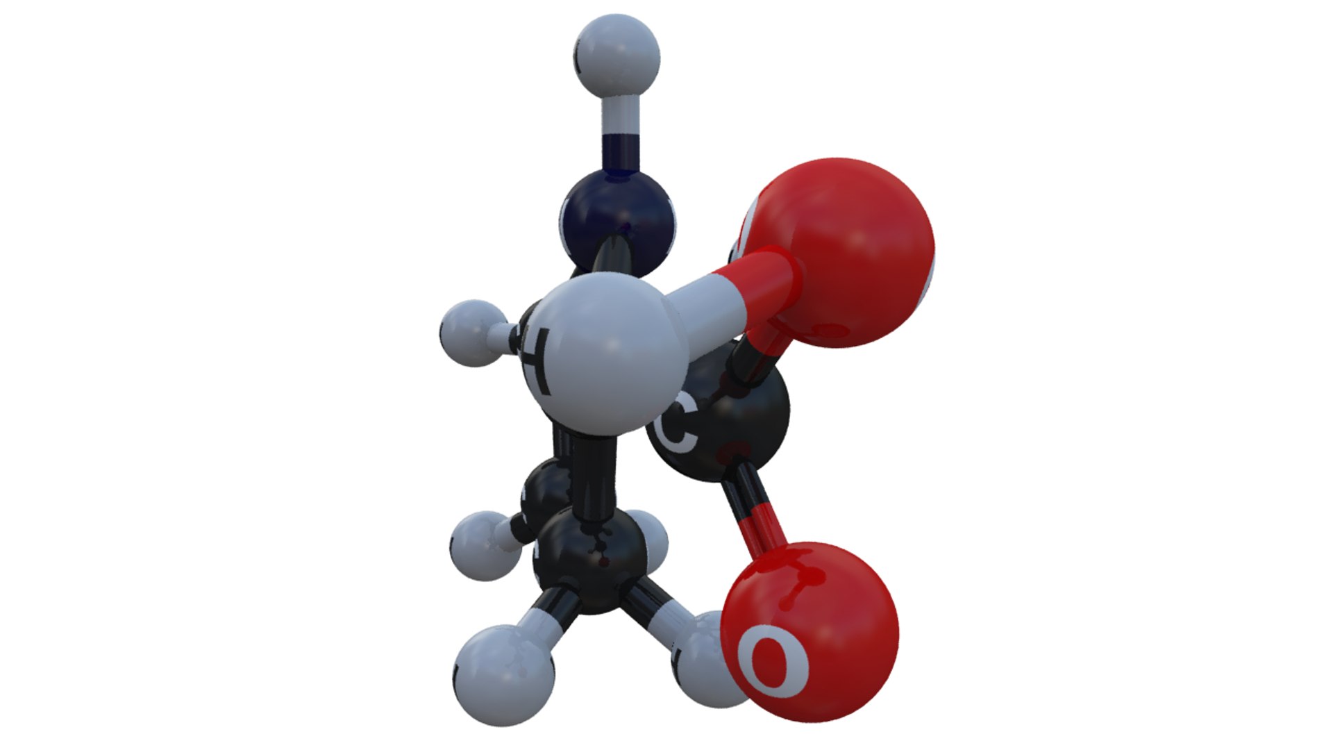 3d Proline Acid Amino