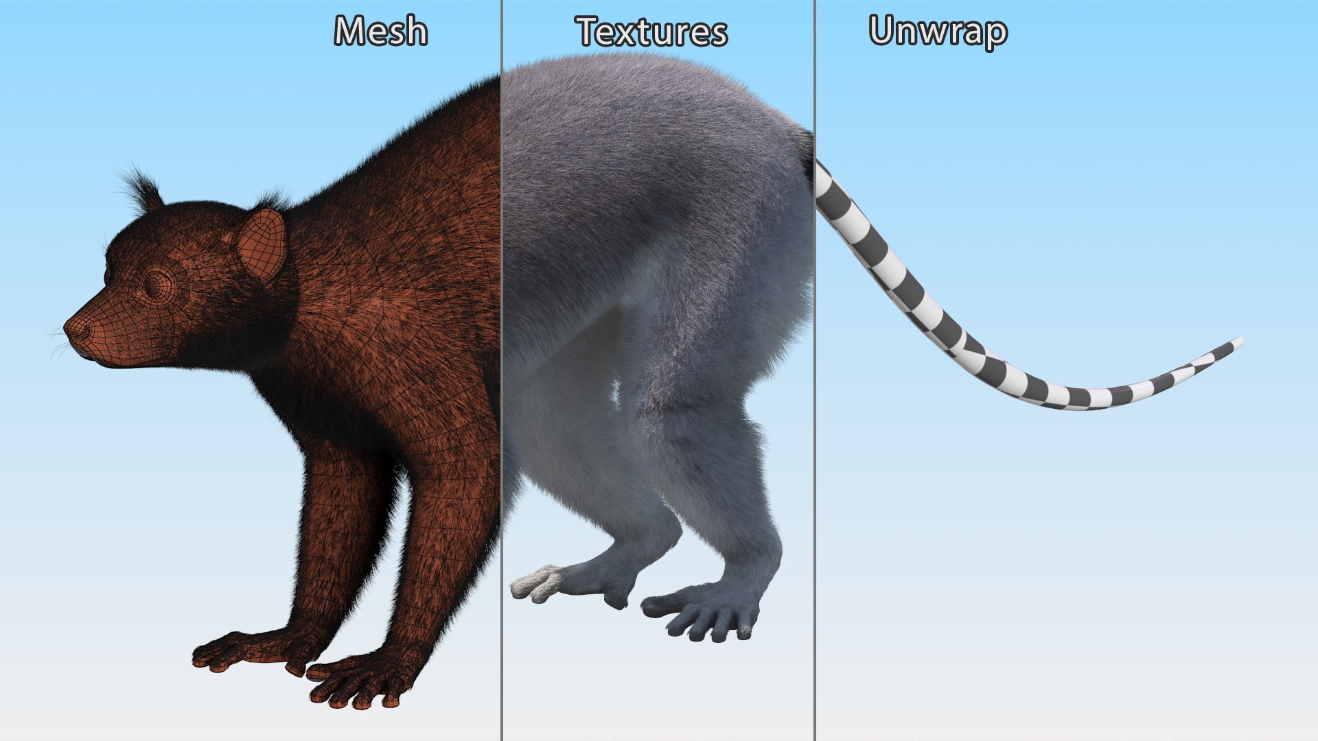 3D Lemur Fur Model - TurboSquid 2191767