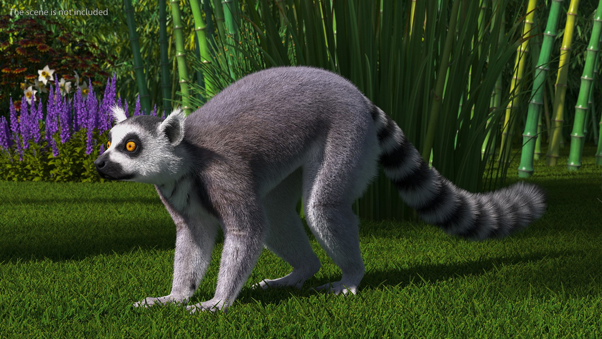 3D Lemur Fur Model - TurboSquid 2191767