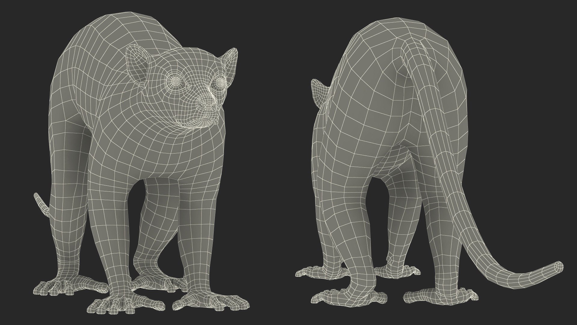 3D Lemur Fur Model - TurboSquid 2191767