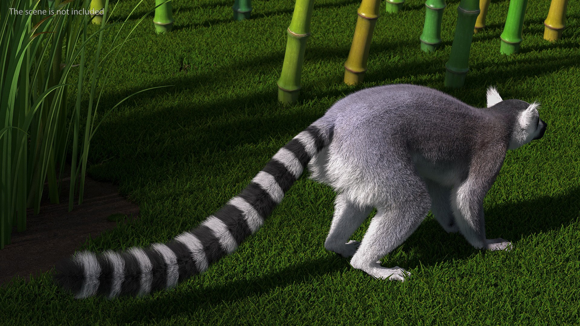3D Lemur Fur Model - TurboSquid 2191767