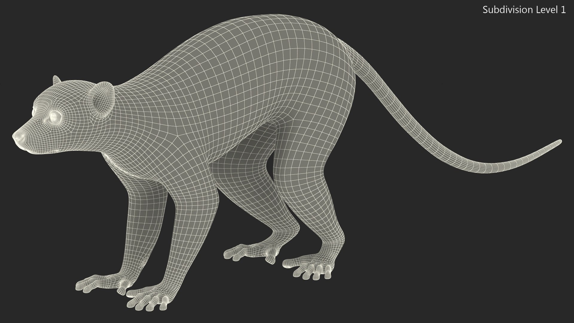 3D Lemur Fur Model - TurboSquid 2191767