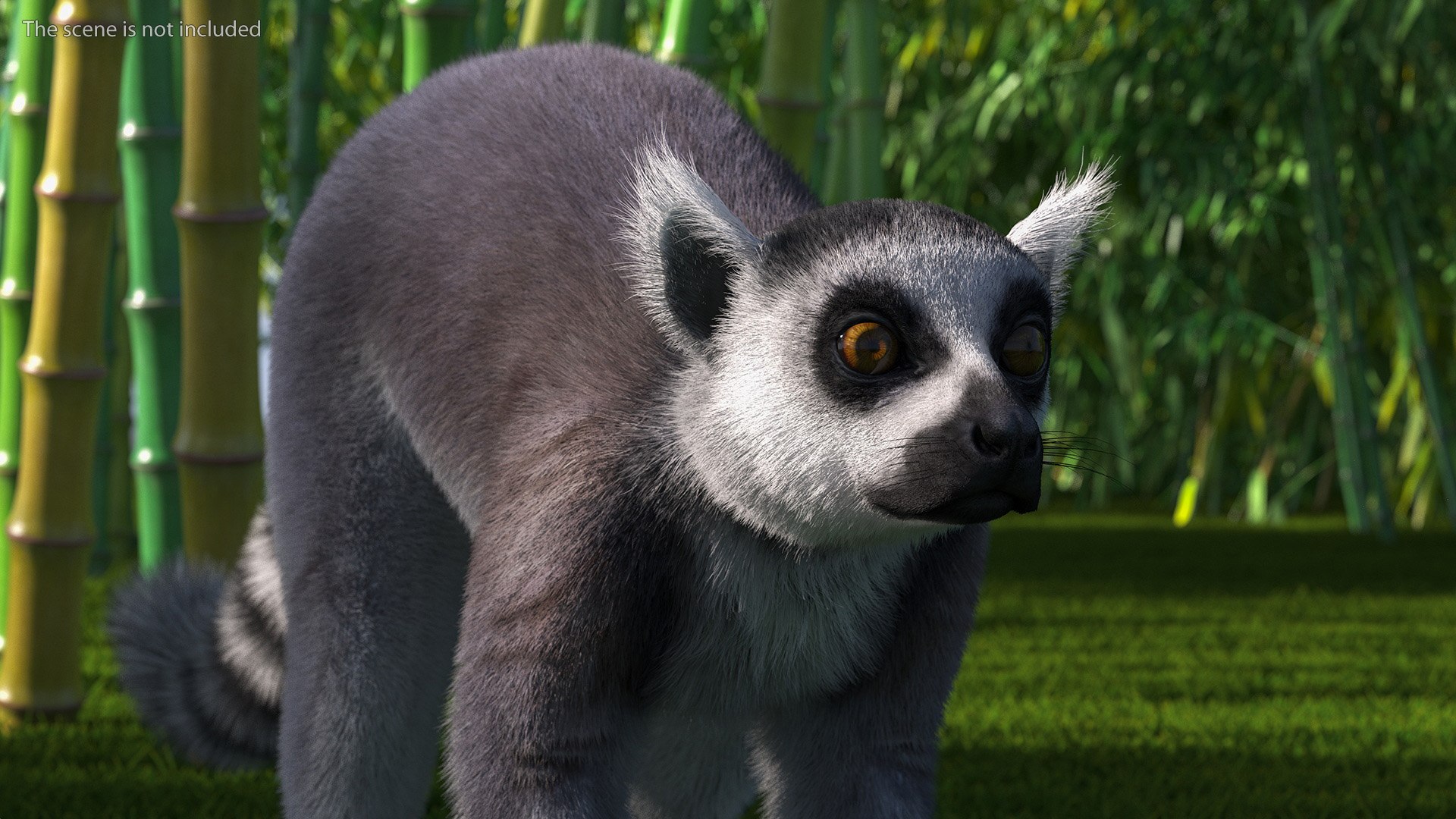 3D Lemur Fur Model - TurboSquid 2191767