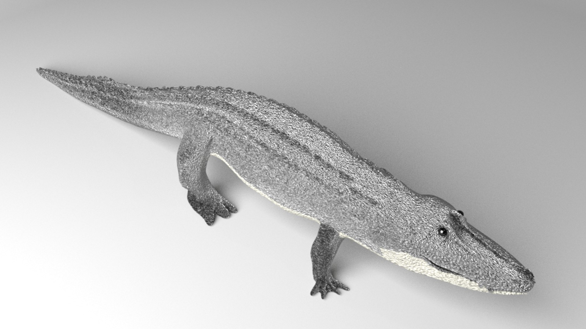 Alligator Gator 3D Model - TurboSquid 1621247