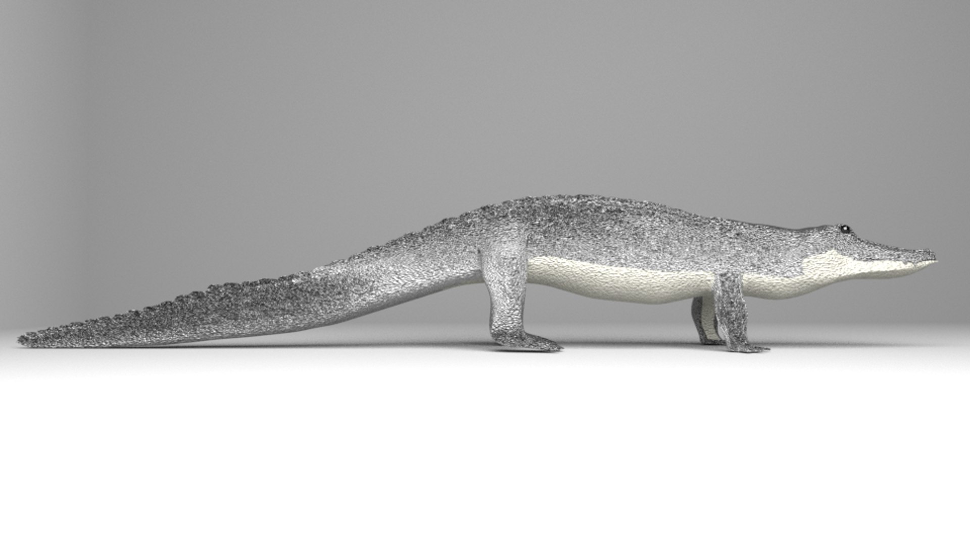 Alligator Gator 3D Model - TurboSquid 1621247