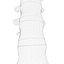 Max Human Spine Os Sacrum