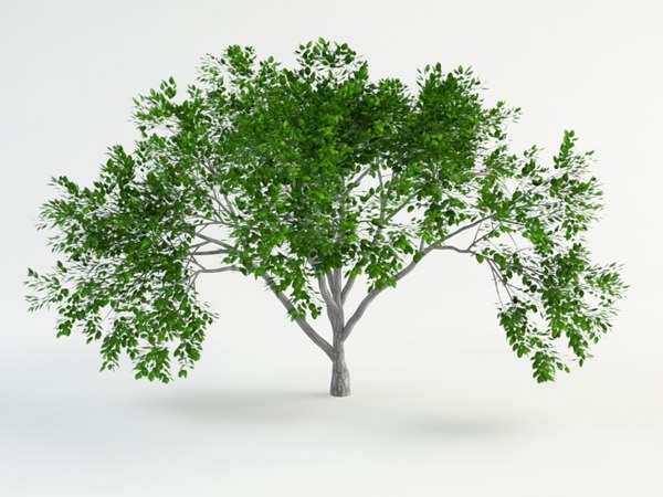 3D column apple trees set model - TurboSquid 1199293