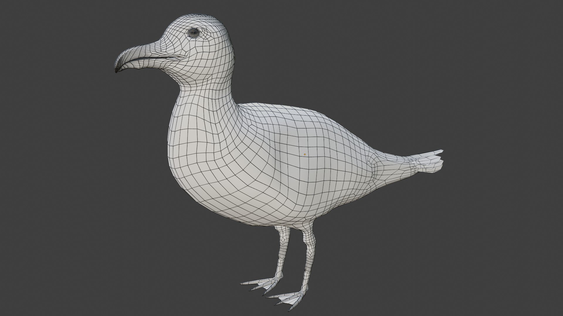 Fully Rigged Seagull 3D Model - TurboSquid 1700397