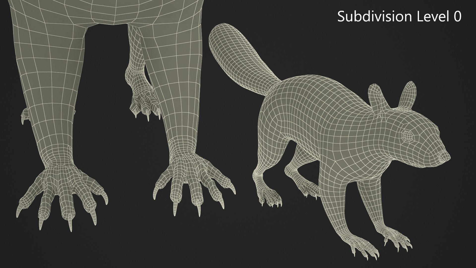 3D Red Squirrel Rigged For Cinema 4D Model - TurboSquid 2280283
