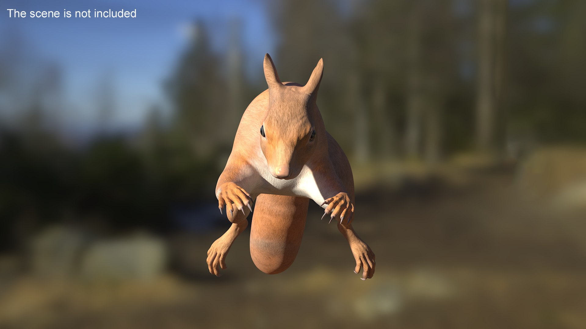 3D Red Squirrel Rigged For Cinema 4D Model - TurboSquid 2280283