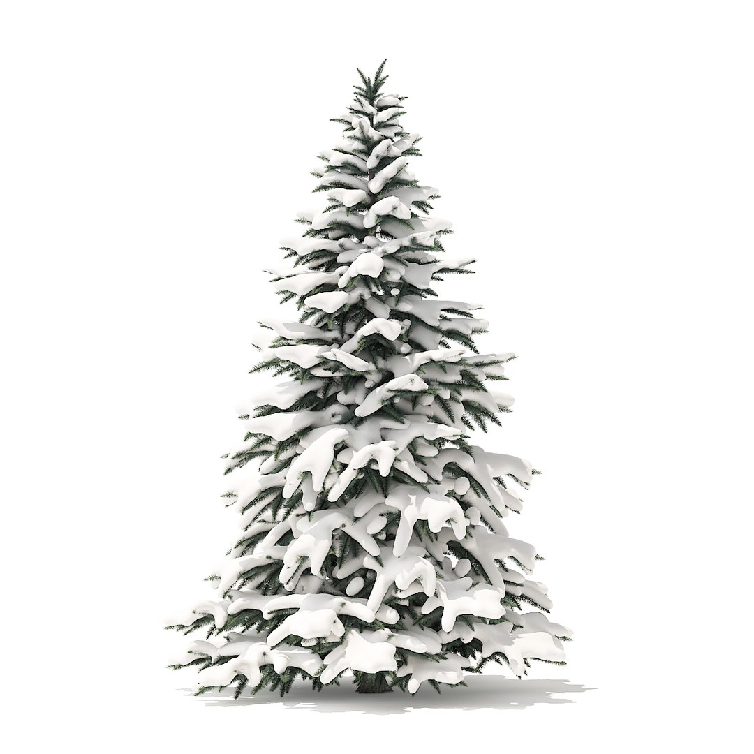 3D Spruce Tree Snow 2 Model - TurboSquid 1273653