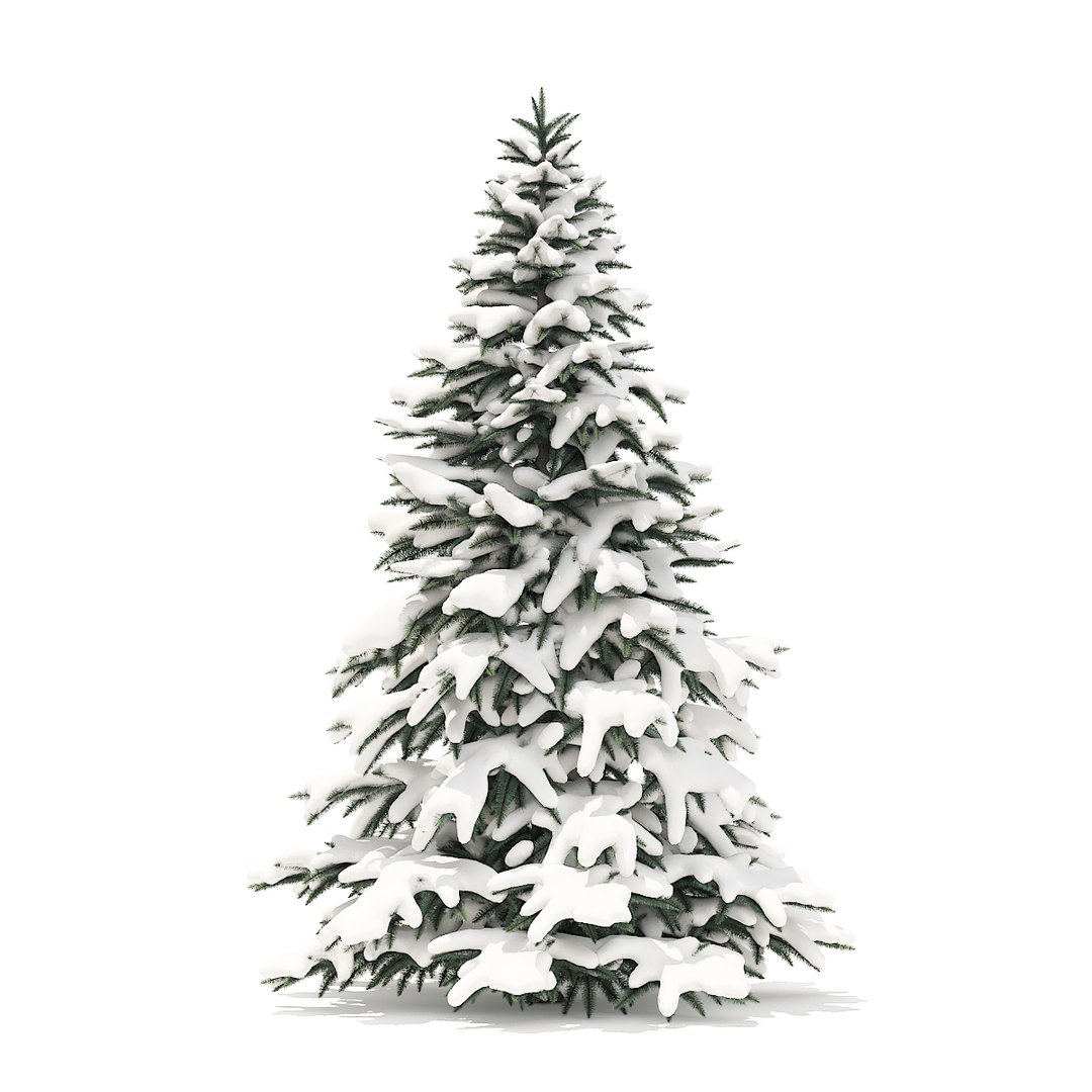 3D Spruce Tree Snow 2 Model - TurboSquid 1273653