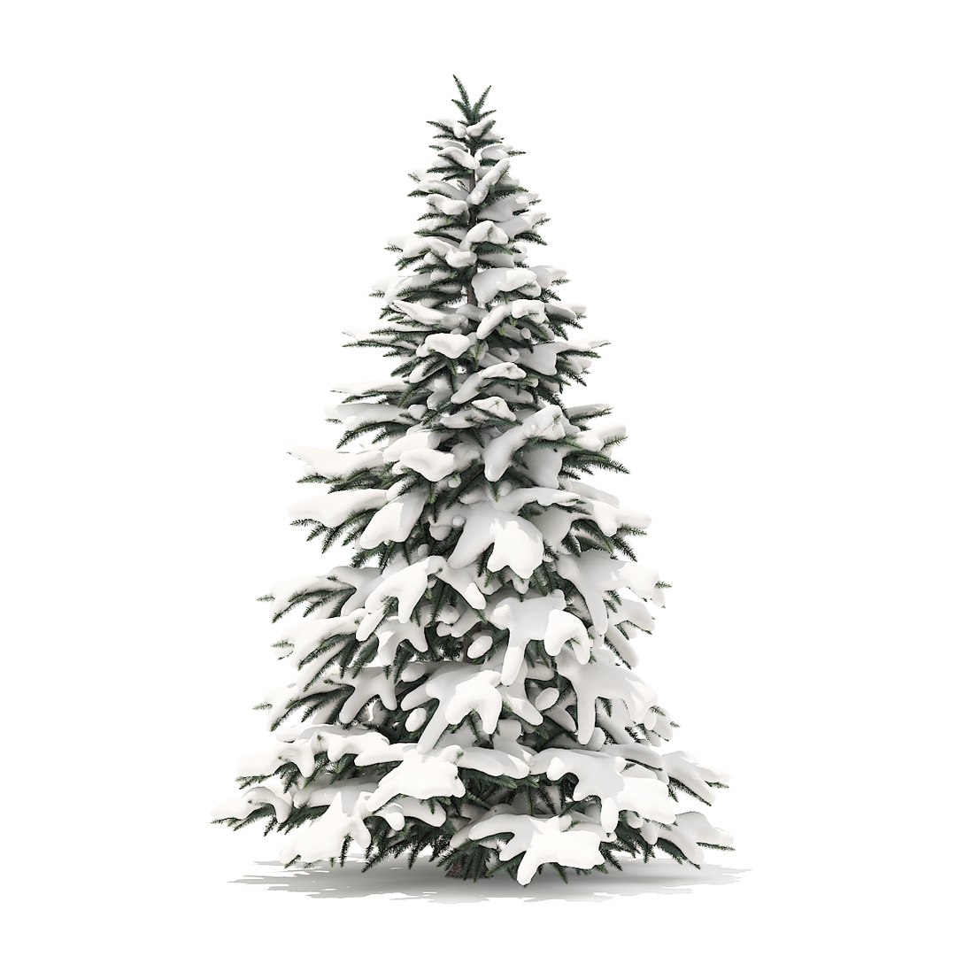 3D Spruce Tree Snow 2 Model - TurboSquid 1273653