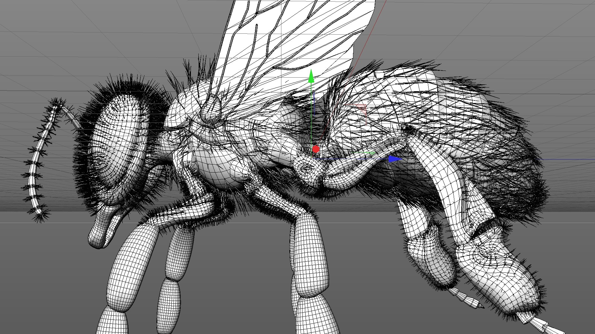 Bee Insect Model - TurboSquid 1677090