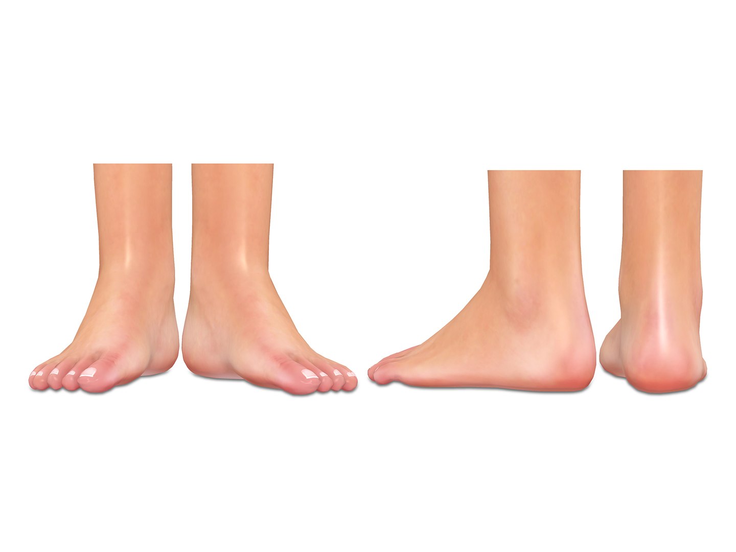 Flat Feet 3D Model - TurboSquid 1823389
