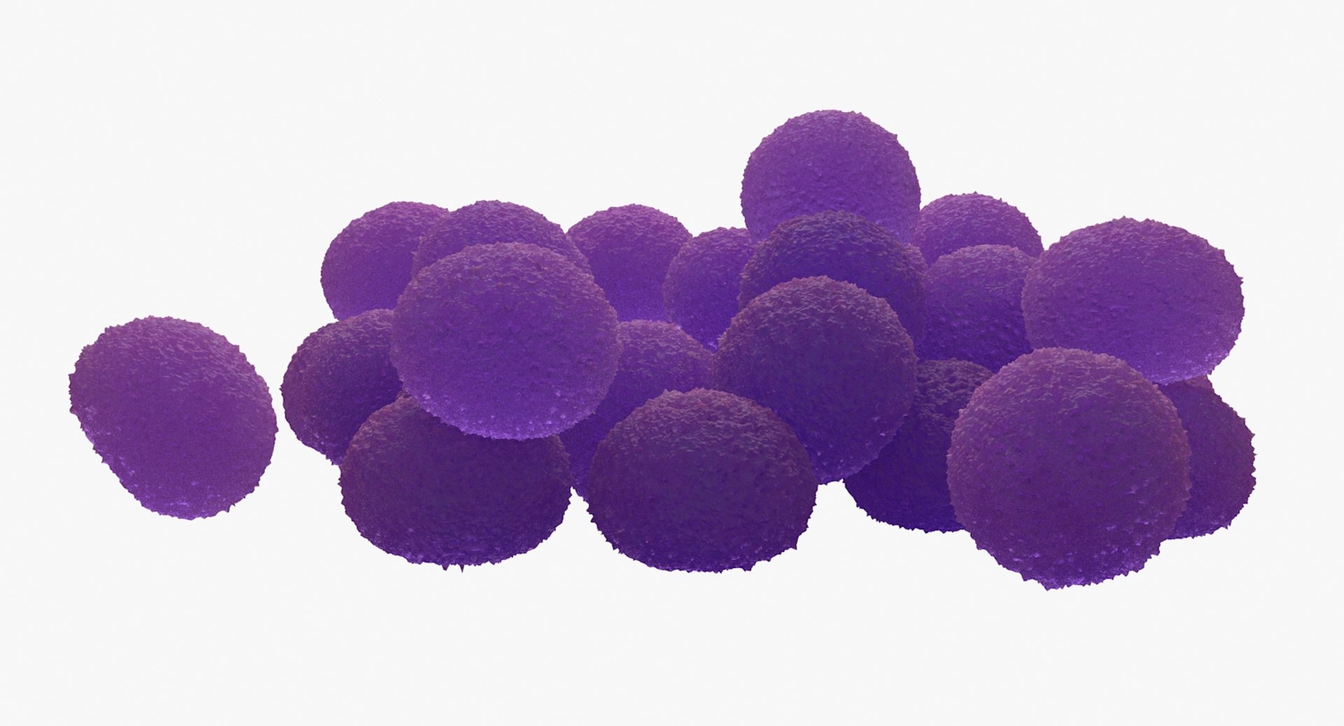 3D Staphylococcus Aureus Bacteria Model - TurboSquid 1294243
